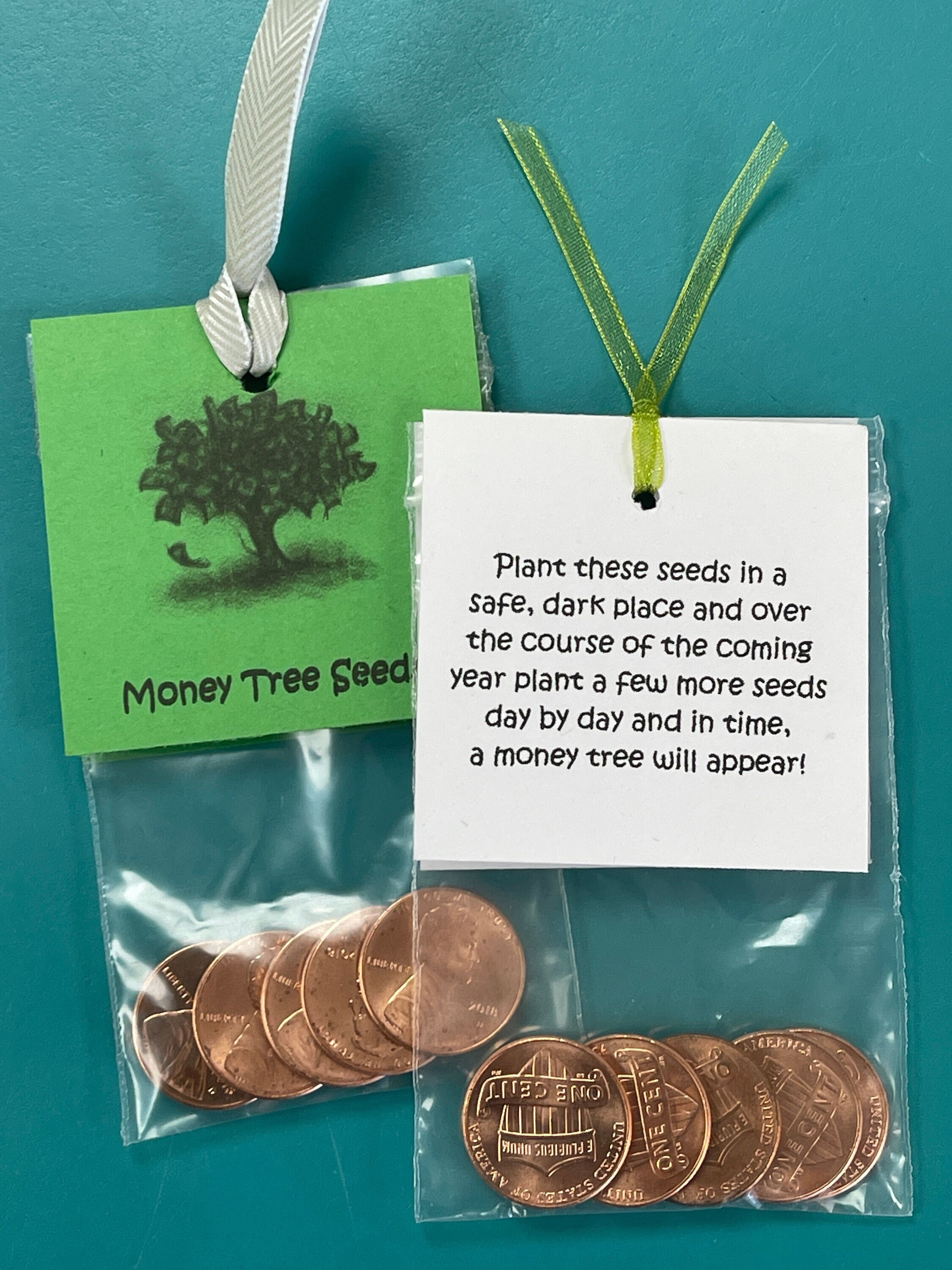 Money Tree Plant Seeds