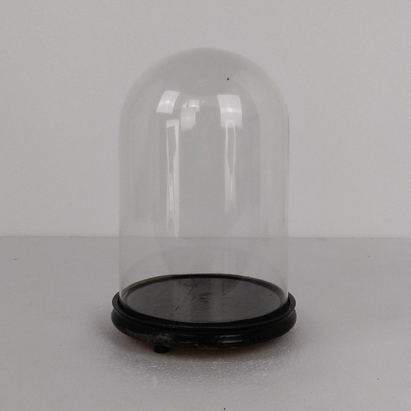 Glass Dome Display - Etsy