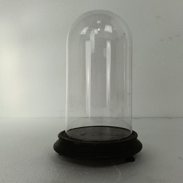 Glass Dome Display - Etsy