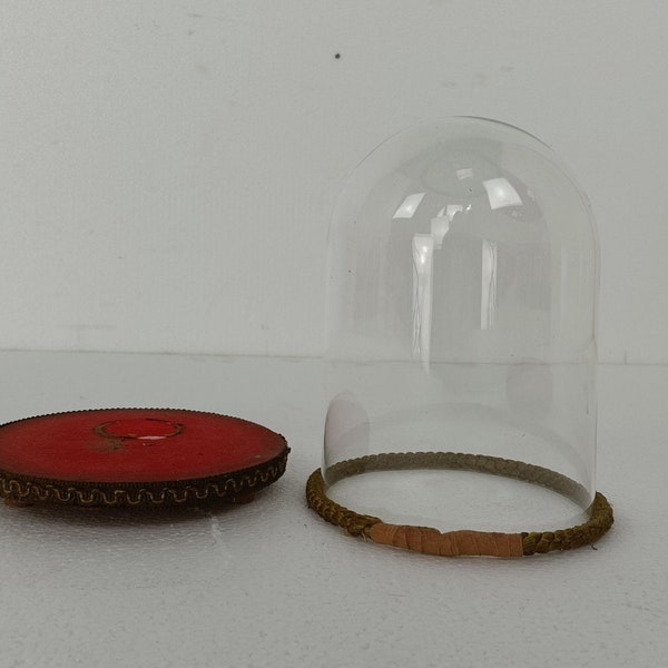 Glass Dome Display - Etsy
