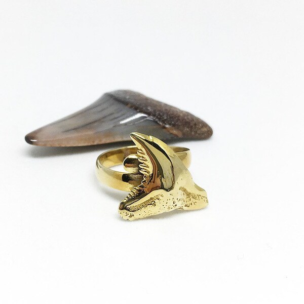 Shark Tooth Ring - Etsy