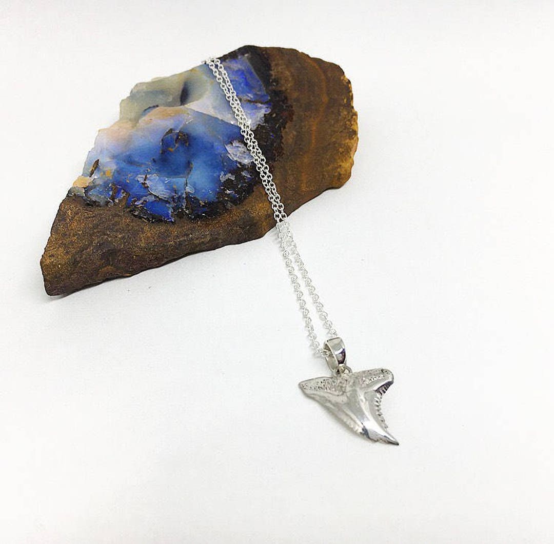 Snaggle Shark Tooth Necklace - Etsy