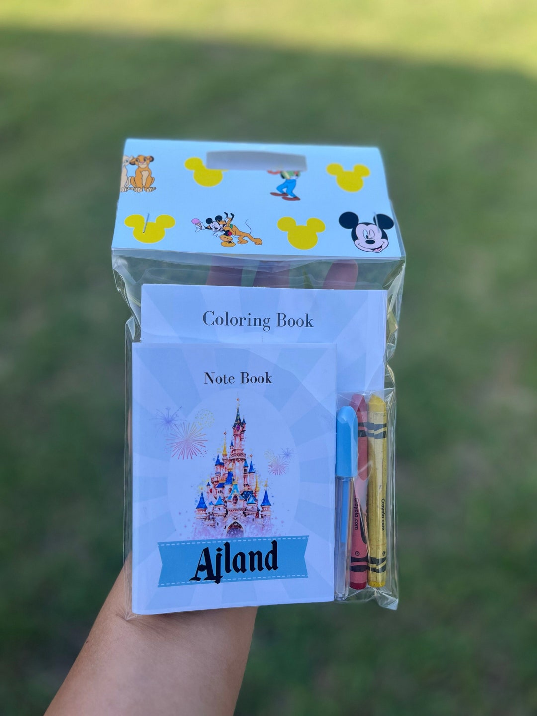 Disneyland Coloring Book/ Notebook/ Pin Goody Bags/ Party Favors - Etsy