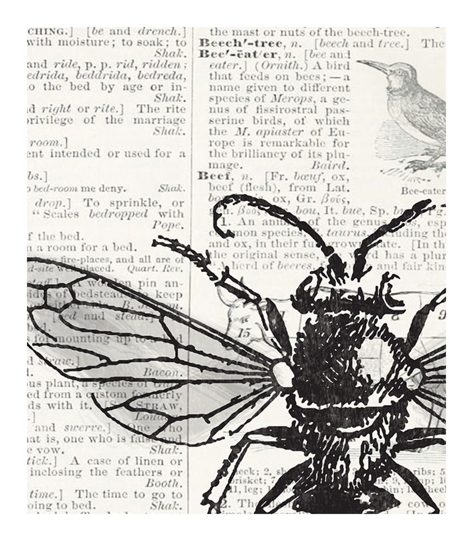 Bee Print Dictionary Page Print Vintage Art Print Old Art Book Page Art ...
