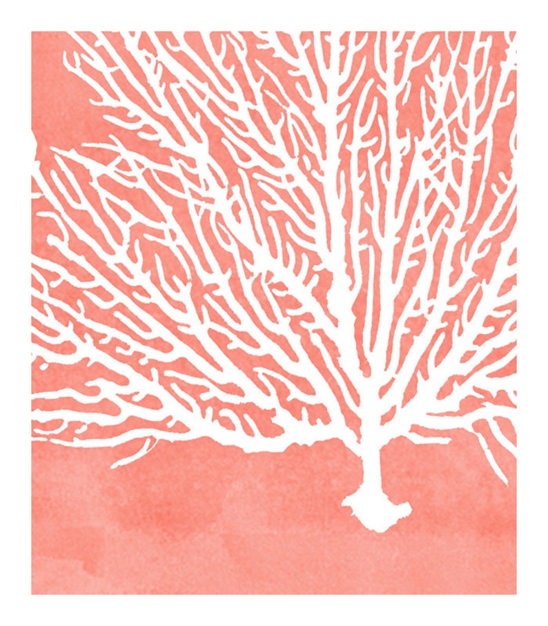 Coral Print Living Room Art Print Beach Decor Modern Design | Etsy