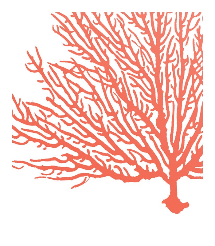 Coral Wall Art Prints Coral Color Decor Coral Prints Water | Etsy