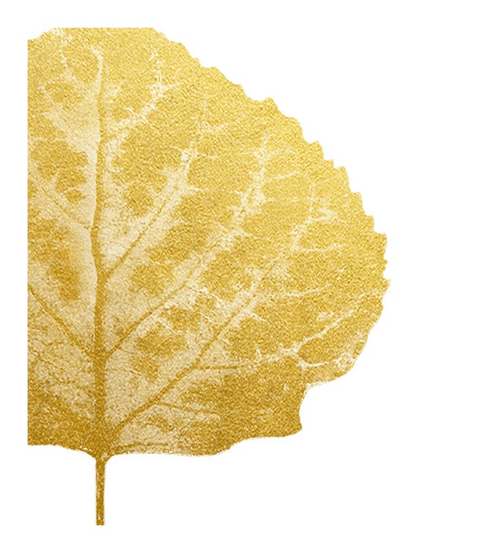 Gold Leaf Print Aspen Leaf Faux Gold Foil Print Minimalist Art - Etsy