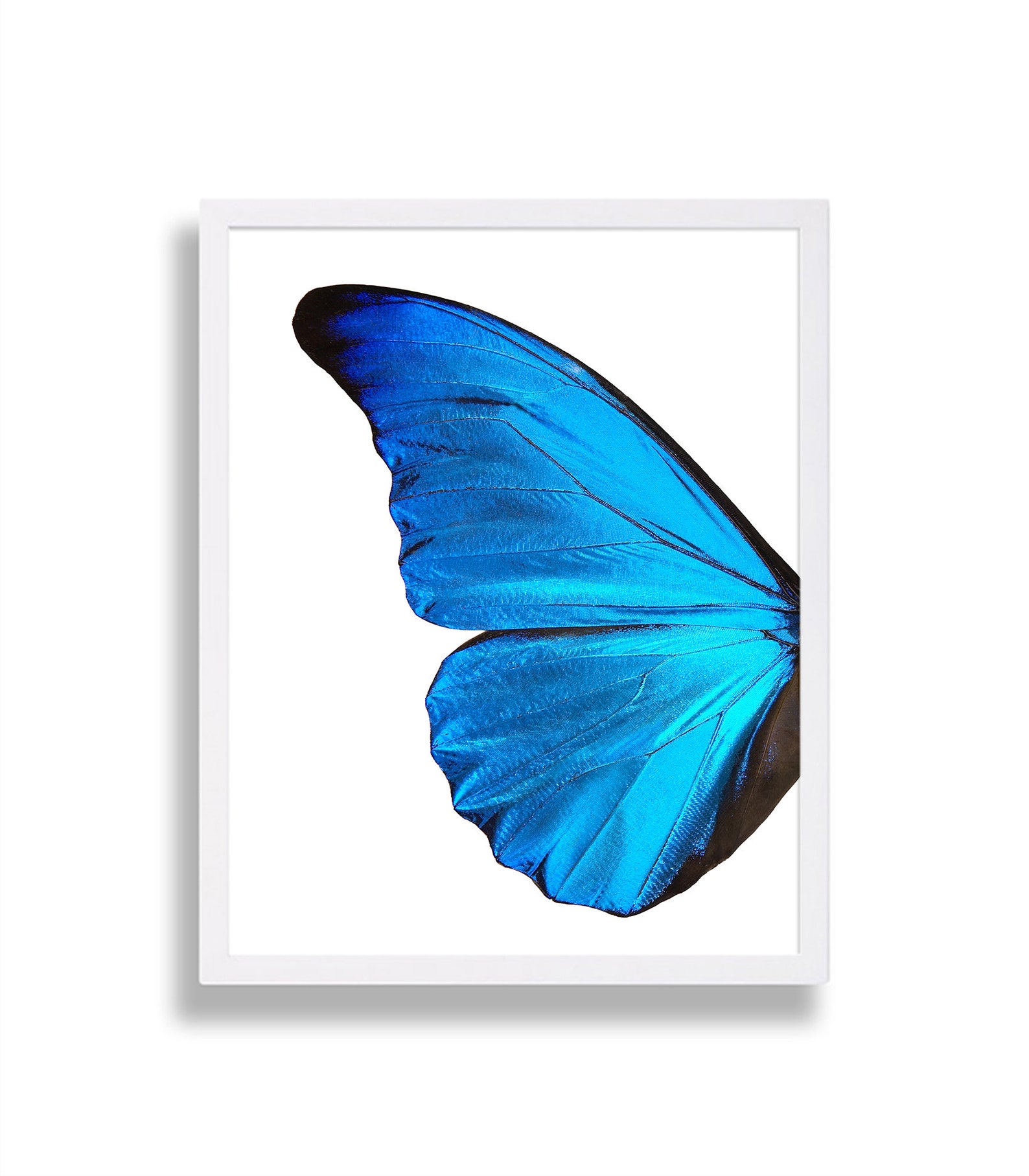 Blue Butterfly Wing Prints Extra Large Art Prints Butterflies | Etsy