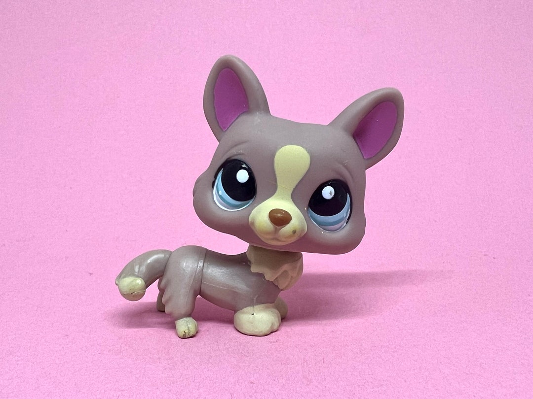 Littlest Pet Shop Authentic LPS Corgi 1158 / Vintage Hasbro - Etsy