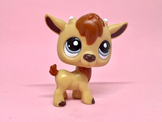 Lps Chihuahua Alicia