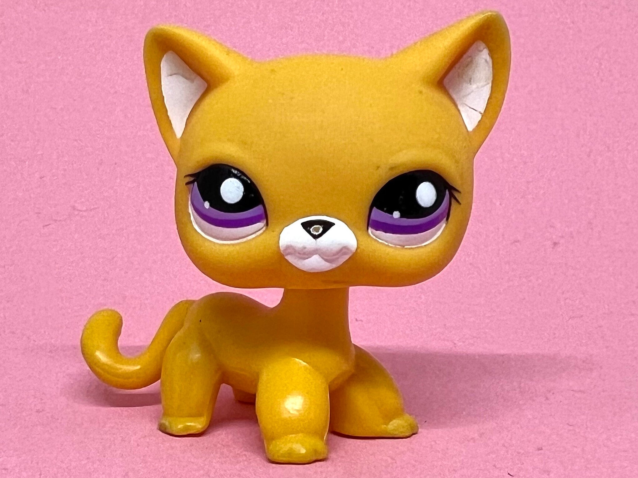 Littlest Pet Shop Cats Orange