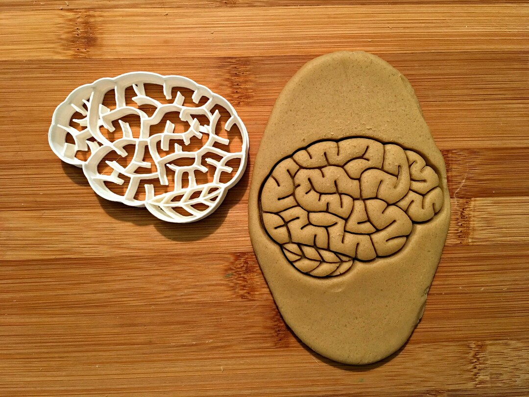Brain Cookie Cutter/multi-size/dishwasher Safe Available - Etsy