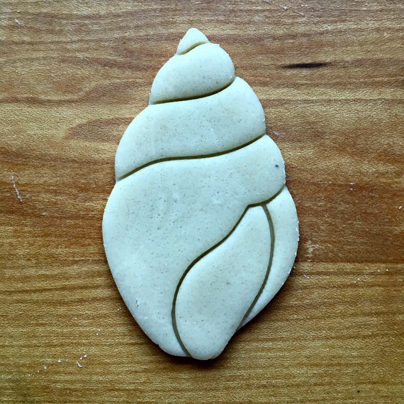Conch Shell Cookie Cutter/multi-size - Etsy