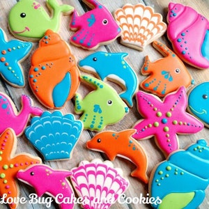 Conch Shell Cookie Cutter/multi-size - Etsy