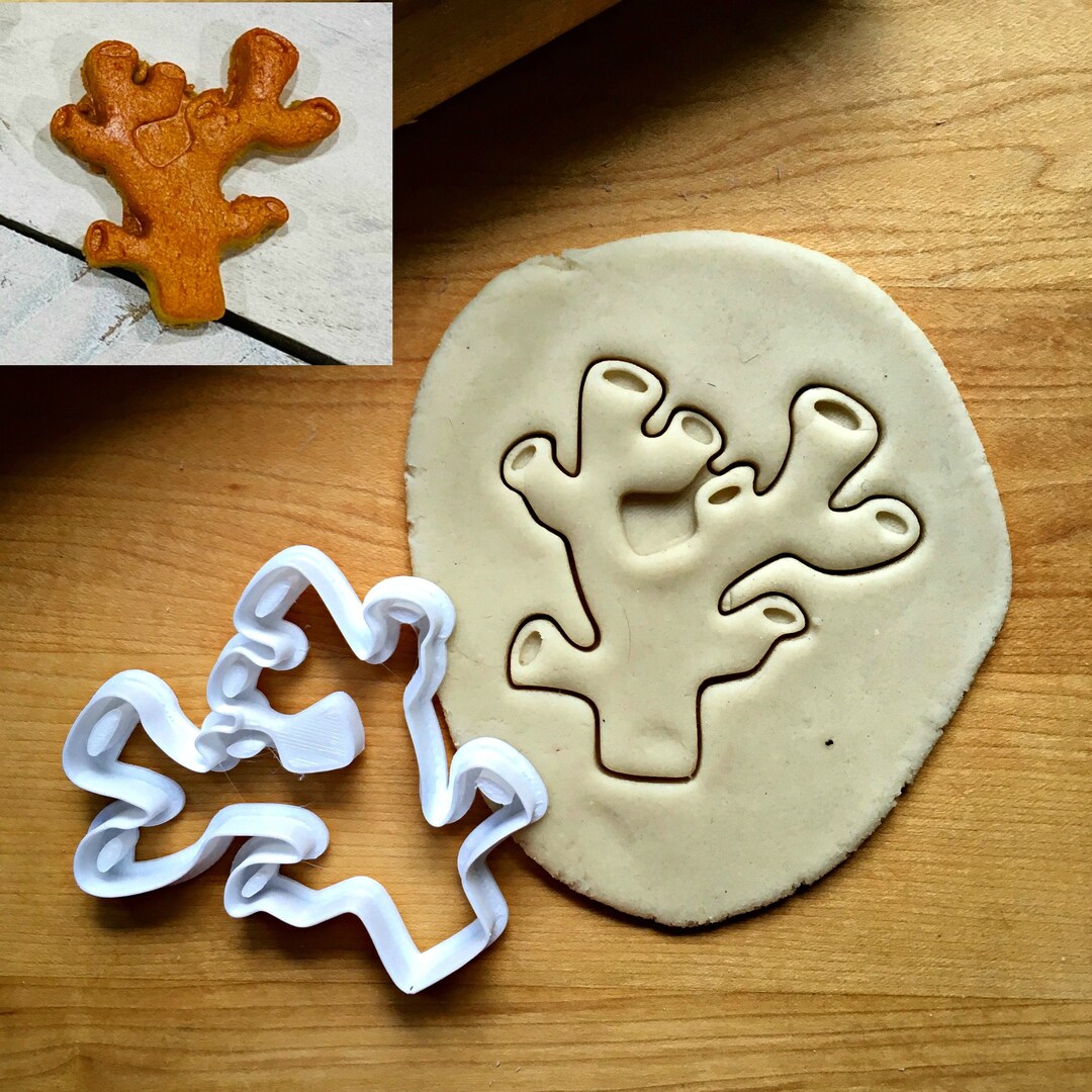 Coral Cookie Cutter in Multiple Sizes - Etsy