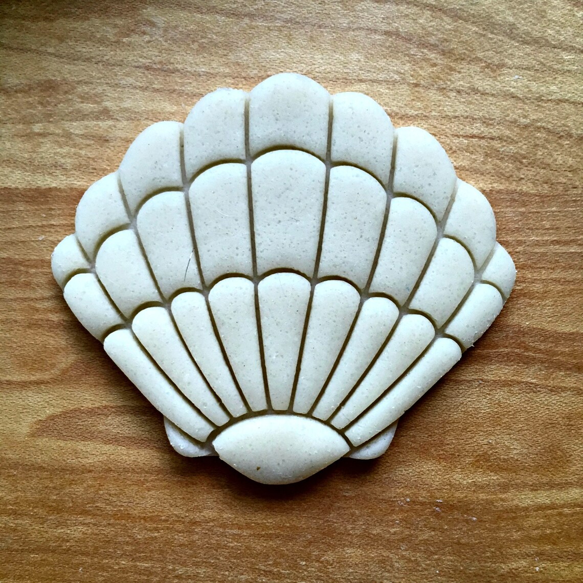 Seashell Cookie Cutter/multi-size - Etsy