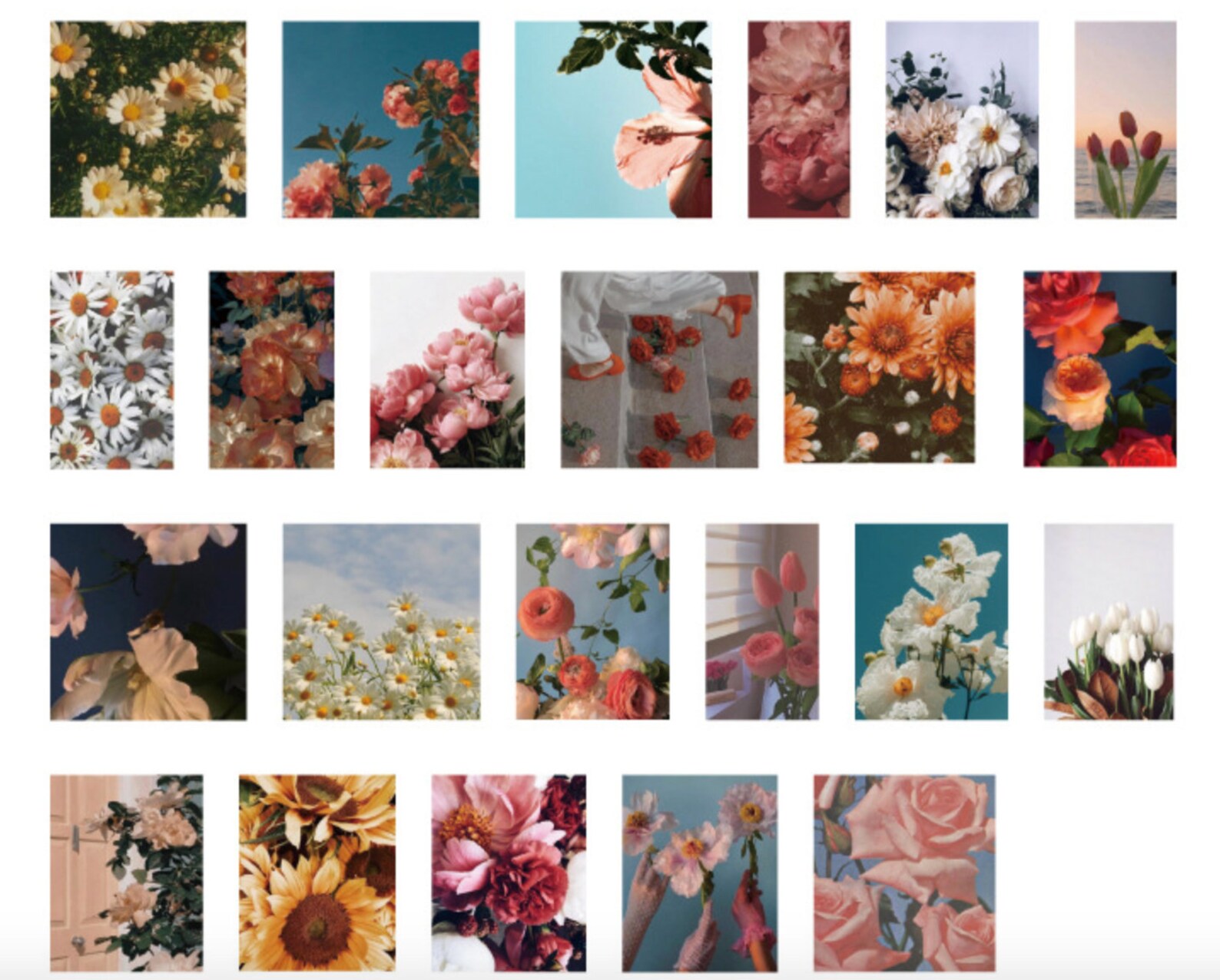46 pcs Flower Photo Sticker Pack Flower Journal Sticker | Etsy