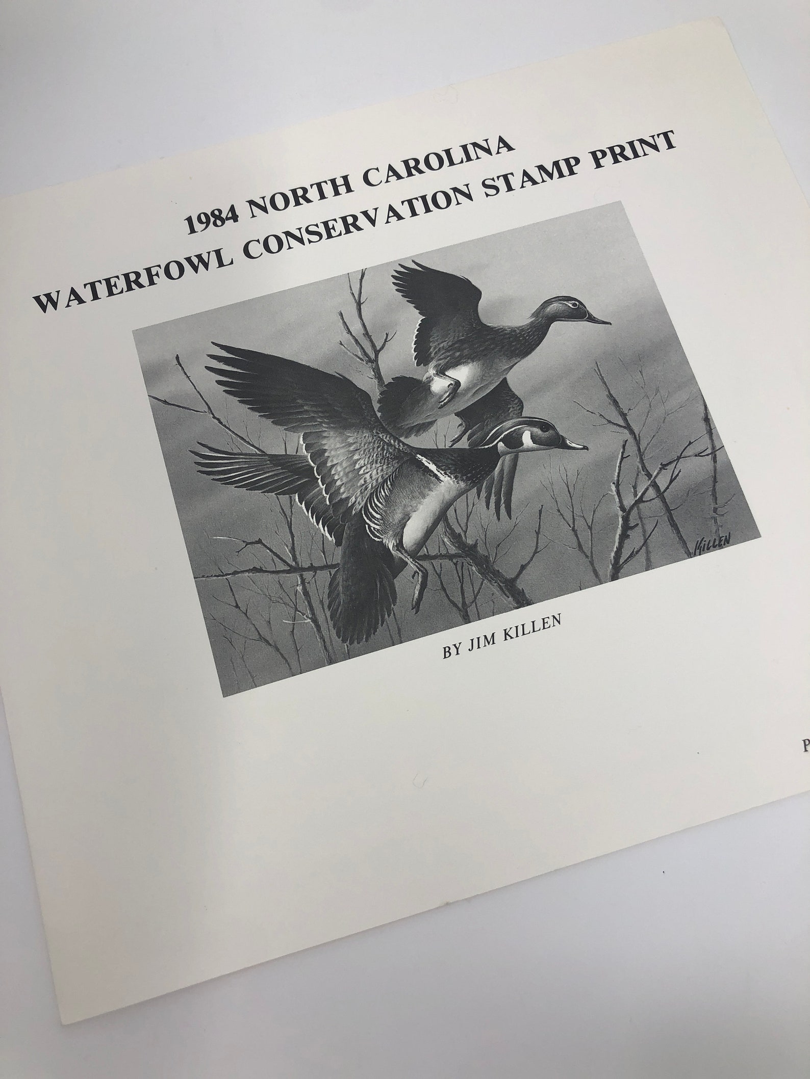 Vintage 1984 North Carolina Waterfowl Conservation Stamp & Print Ducks ...