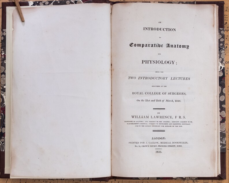 Introduction To Comparative Anatomy And Physiology RARE Etsy