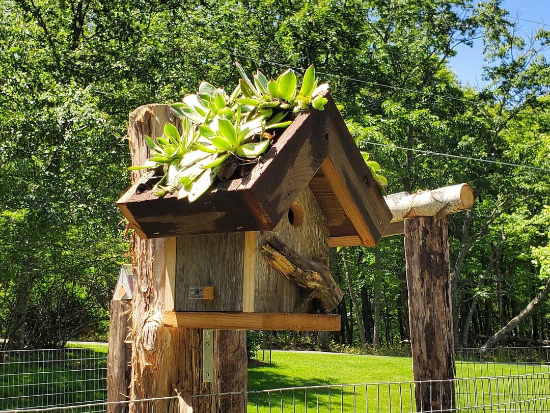 Rustic Barn Wood Hanging Planter Birdhouse and Farmhouse Garden Decor ...