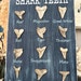 Shark Teeth Classification Painted Sign - Etsy