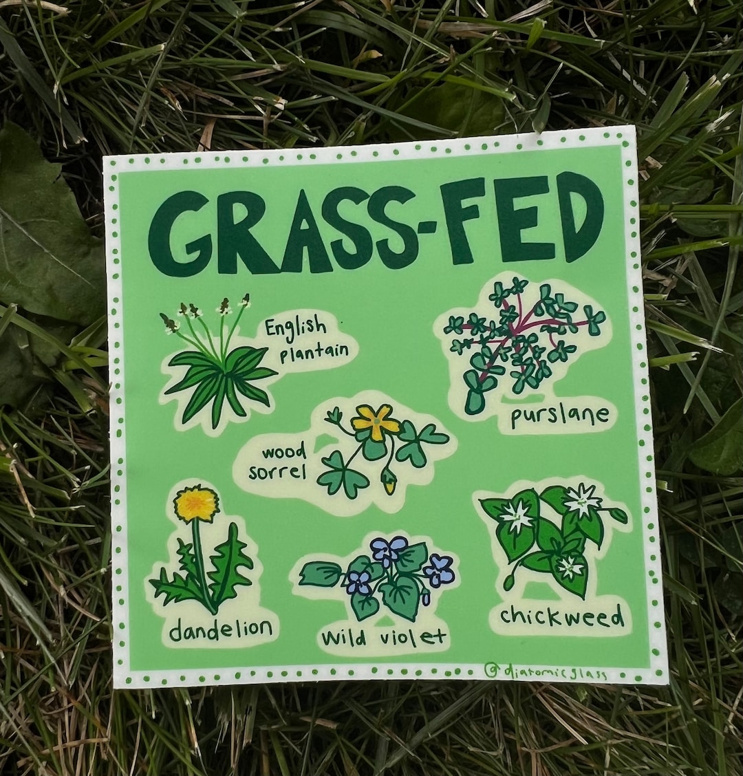 Grass Fed Edible Weeds Foraging Sticker - Etsy