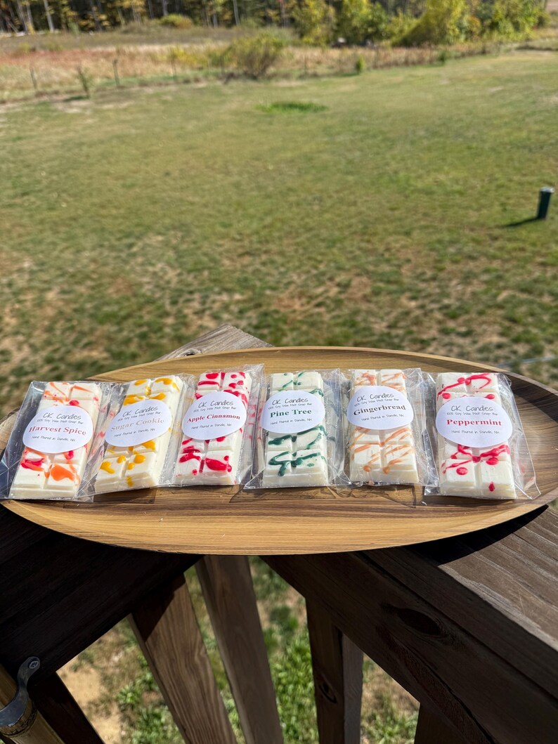 Soy Wax Melt Snap Bar: Fall & Holiday Scents - Etsy