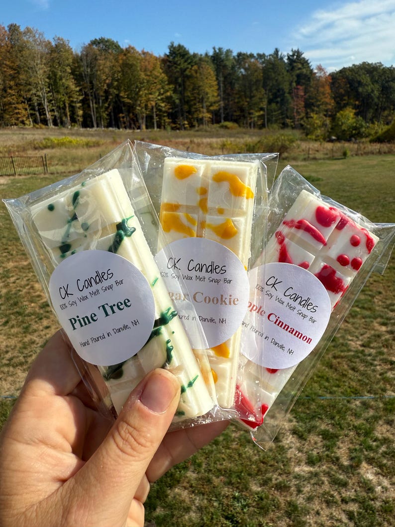 Soy Wax Melt Snap Bar: Fall & Holiday Scents - Etsy
