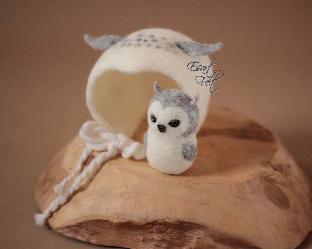 Pre-order Felted Owl Newborn Props, Felted Owl Bonnet and Stuffy ...