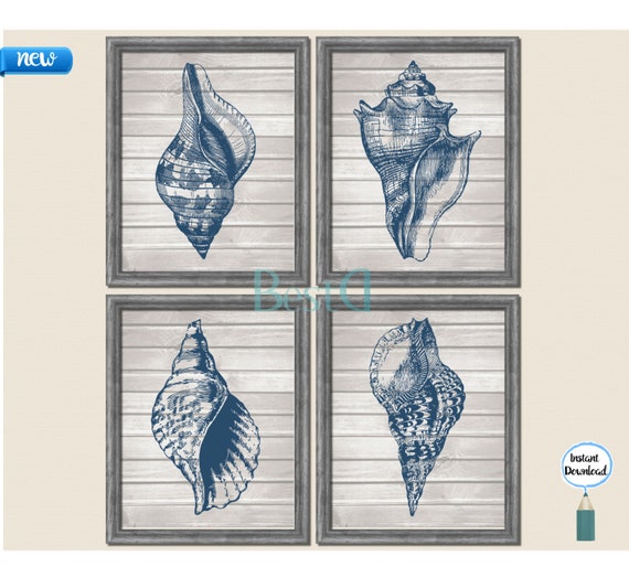 Items similar to Art print set of 4 Seashell home wall decor,Nautical ...