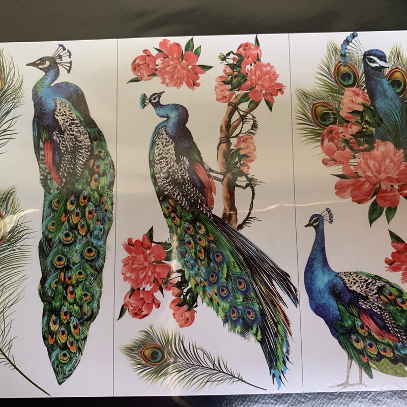 Paint Transfers - Etsy