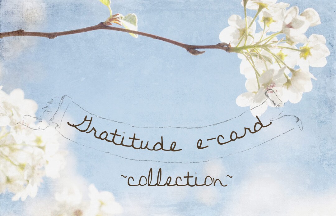 Lovely Thank You E-cards, 18 Designs in All, Shareable Digital ...