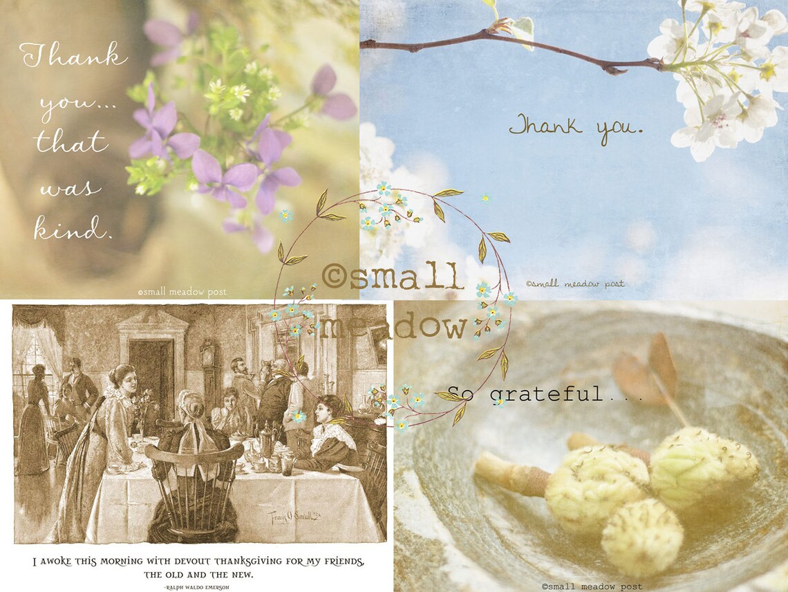 Lovely Thank You E-cards 18 Designs in All Shareable Digital - Etsy