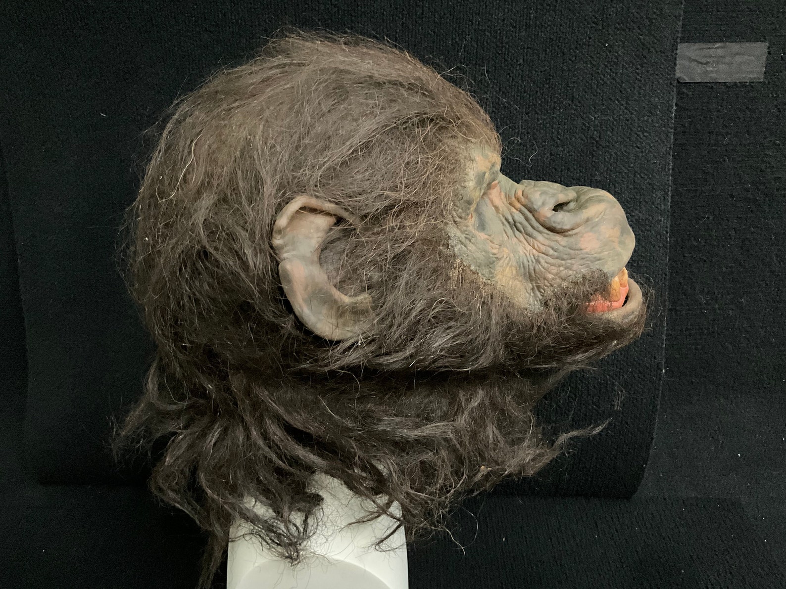 Vintage 1998 Tarzan and the Lost City Movie Prop Full Head Gorilla Mask ...