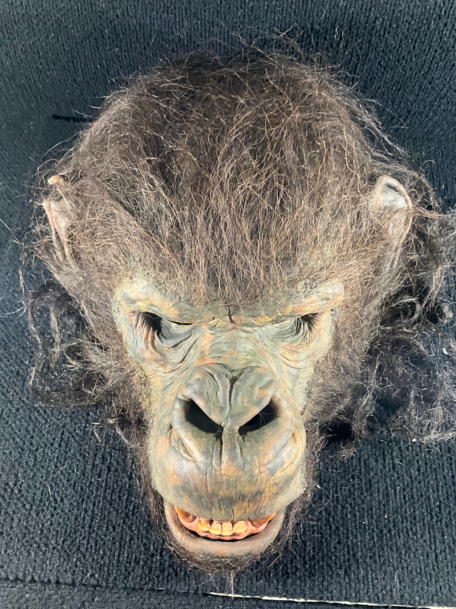 Vintage 1998 Tarzan and the Lost City Movie Prop Full Head Gorilla Mask ...