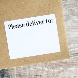 16 Please Deliver to Labels Blank Recipient Address Stickers Penpal ...