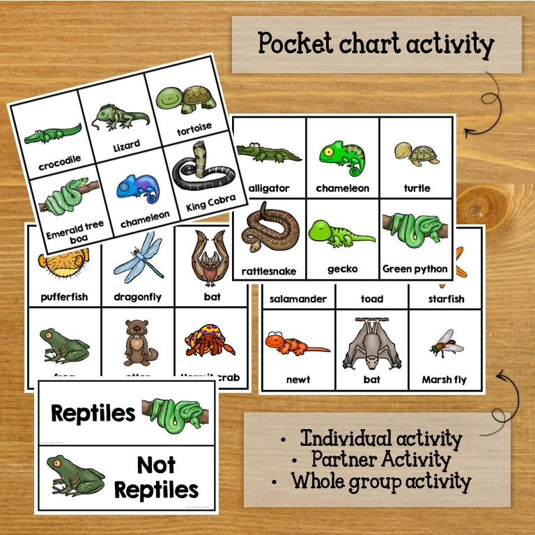 Preschool Reptile Sorting Activity | Science Center Classification Game ...