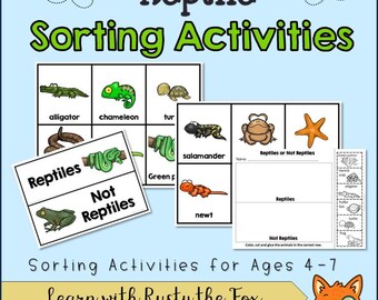 Preschool Reptile Sorting Activity | Science Center Classification Game ...
