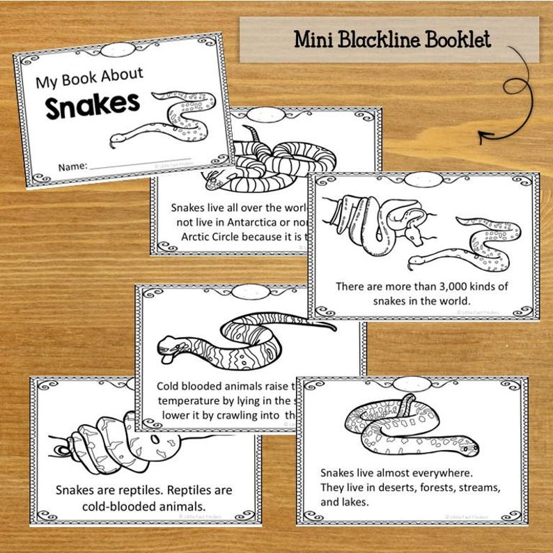 Snake Mini Book Printable | Preschool Reptile Unit Activity (digital ...