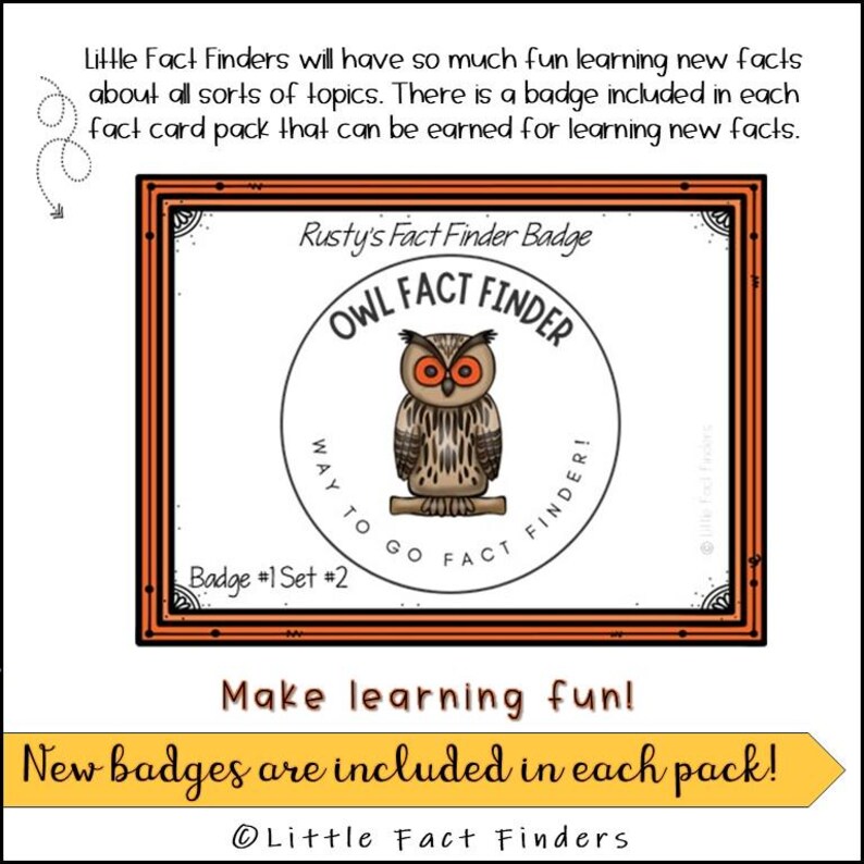 Owl Fact Cards for Kids | Homeschool Nature Study (digital Download) - Etsy
