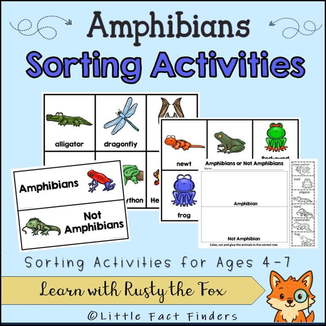Amphibians Sorting Activity for Preschool, Kindergarten (digital ...