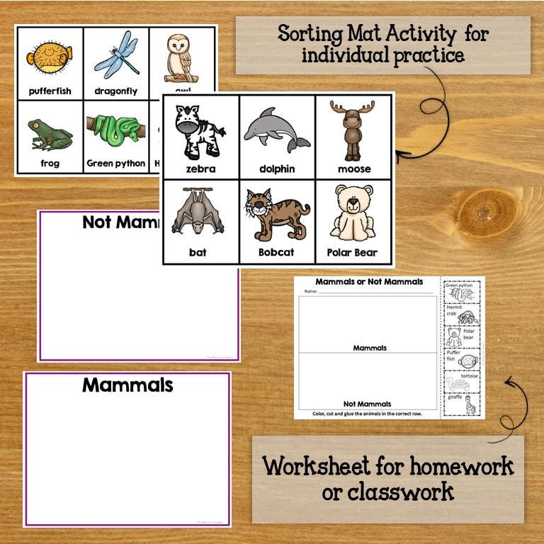 Mammals Sorting Activity for Preschool, Kindergarten (digital Download ...