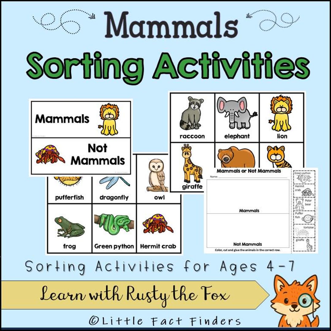 Mammals Sorting Activity for Preschool, Kindergarten (digital Download ...