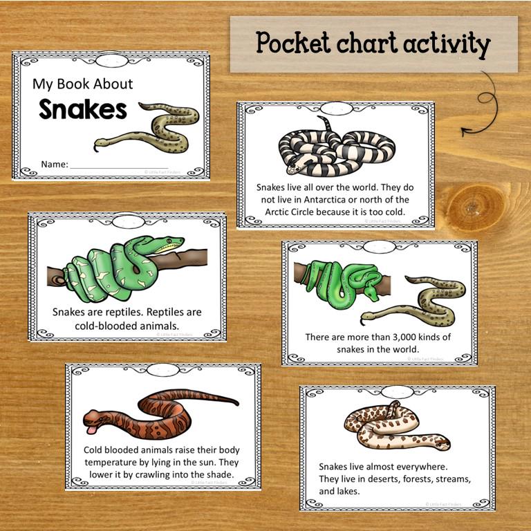 Snake Mini Book Printable | Preschool Reptile Unit Activity (digital ...