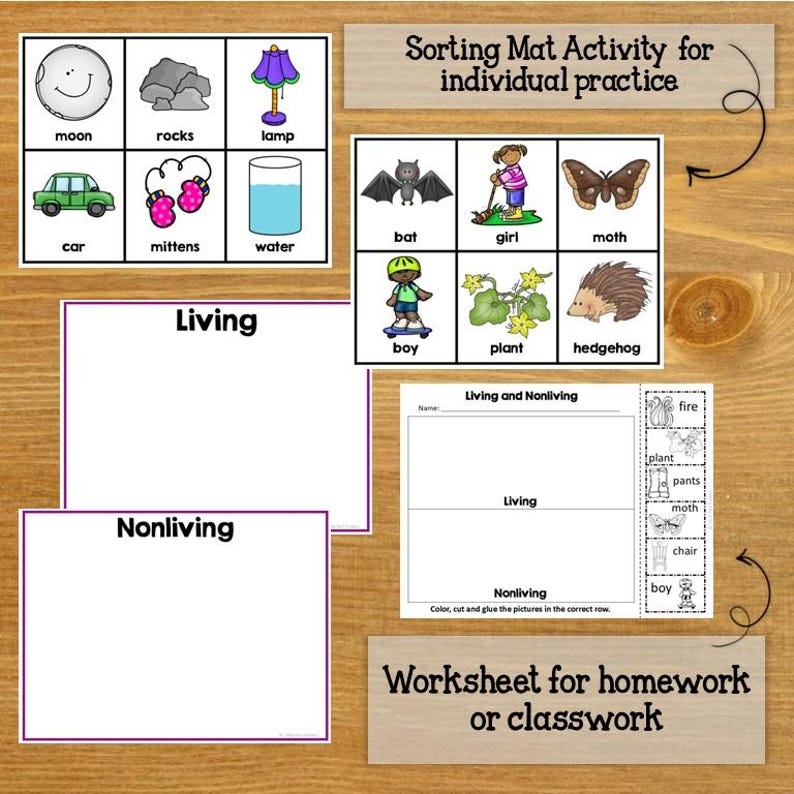 Living and Nonliving Sorting Activity for Preschool & Kindergarten ...
