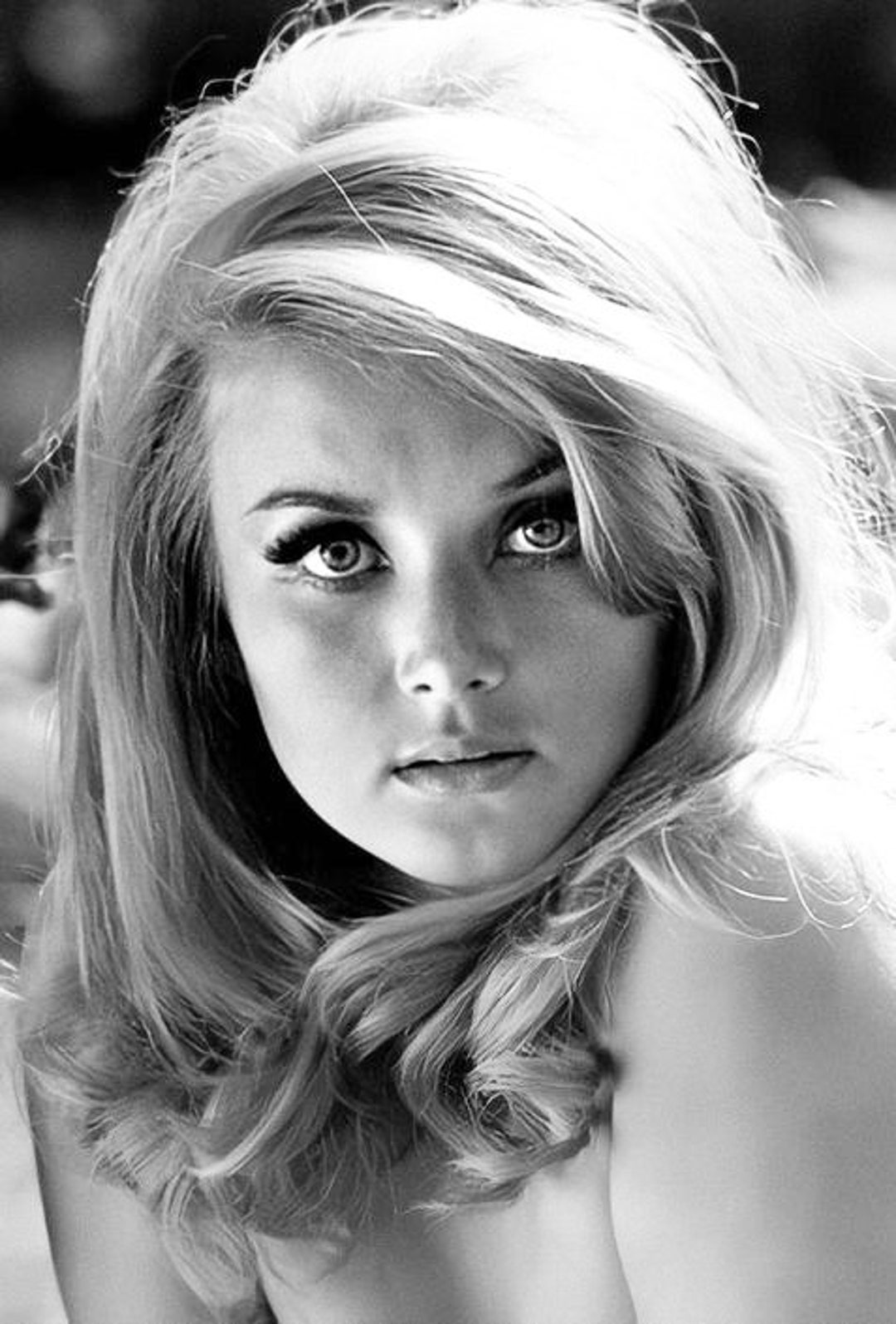 Barbara Bouchet In Harms Way