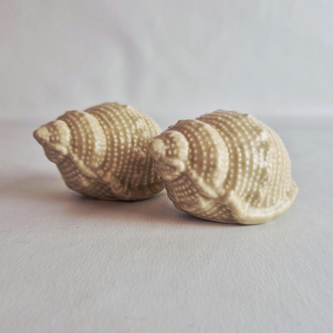 Ceramic Salt and Pepper Shaker 'shell' | Salt and Pepper Shakers in the ...