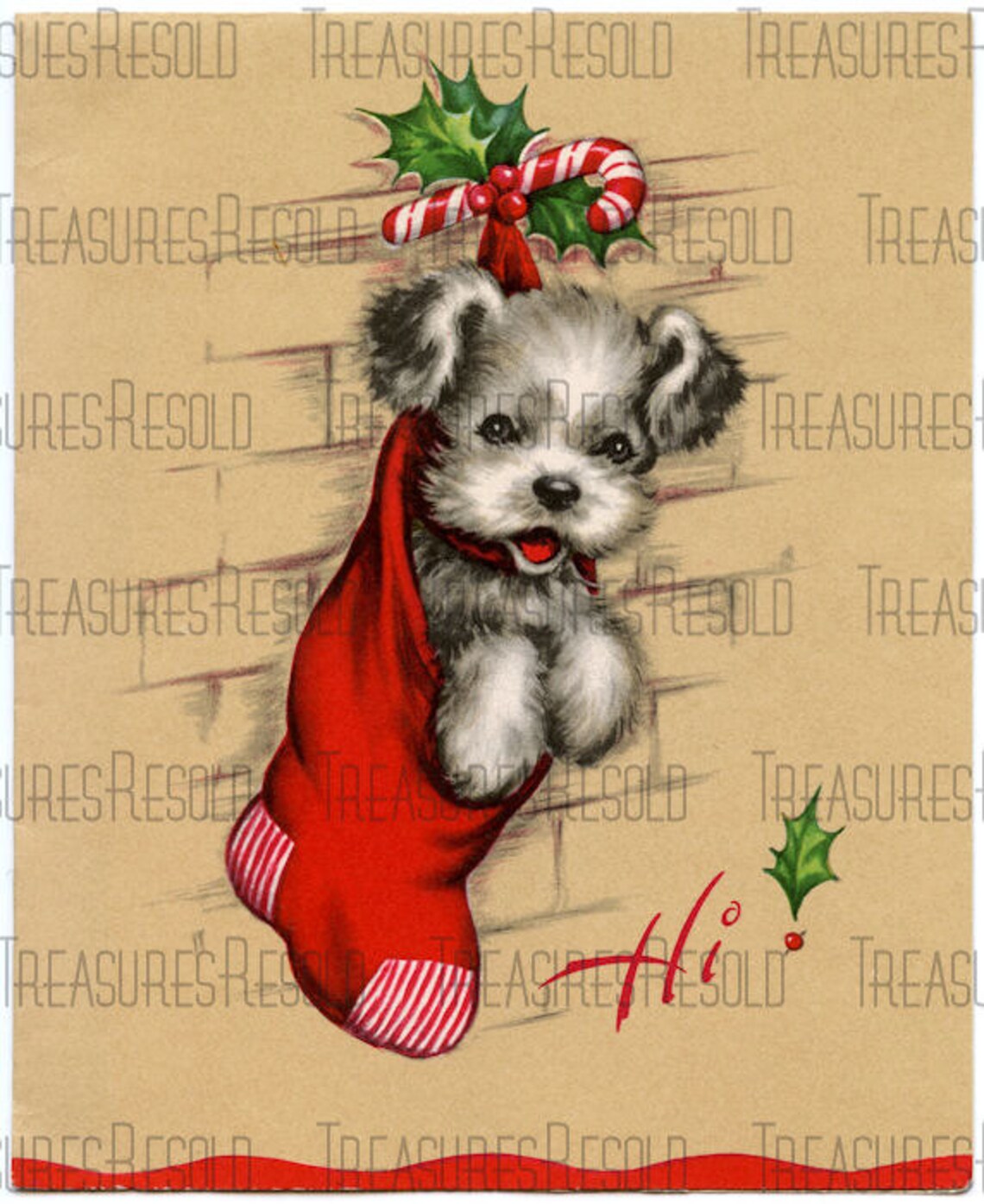 Puppy Dog Christmas in Stocking Christmas Image 150 Digital - Etsy