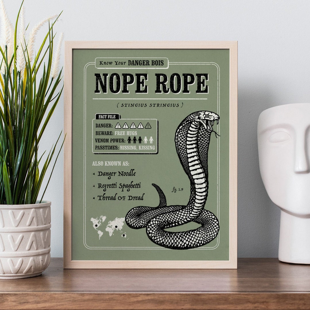 Funny Snake Wall Art - Know Your Nope Rope (AKA Snake Poster) Snek ...