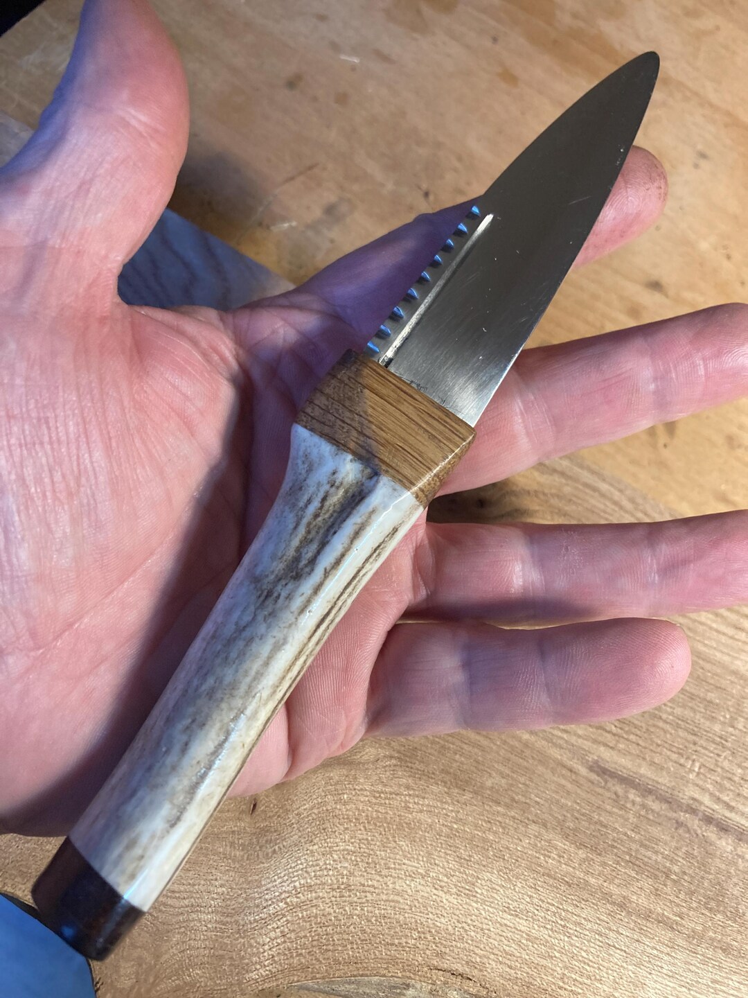 Red Deer Antler Sgian Dubh: Madagascar Rosewood, Glengoyne Oak ...